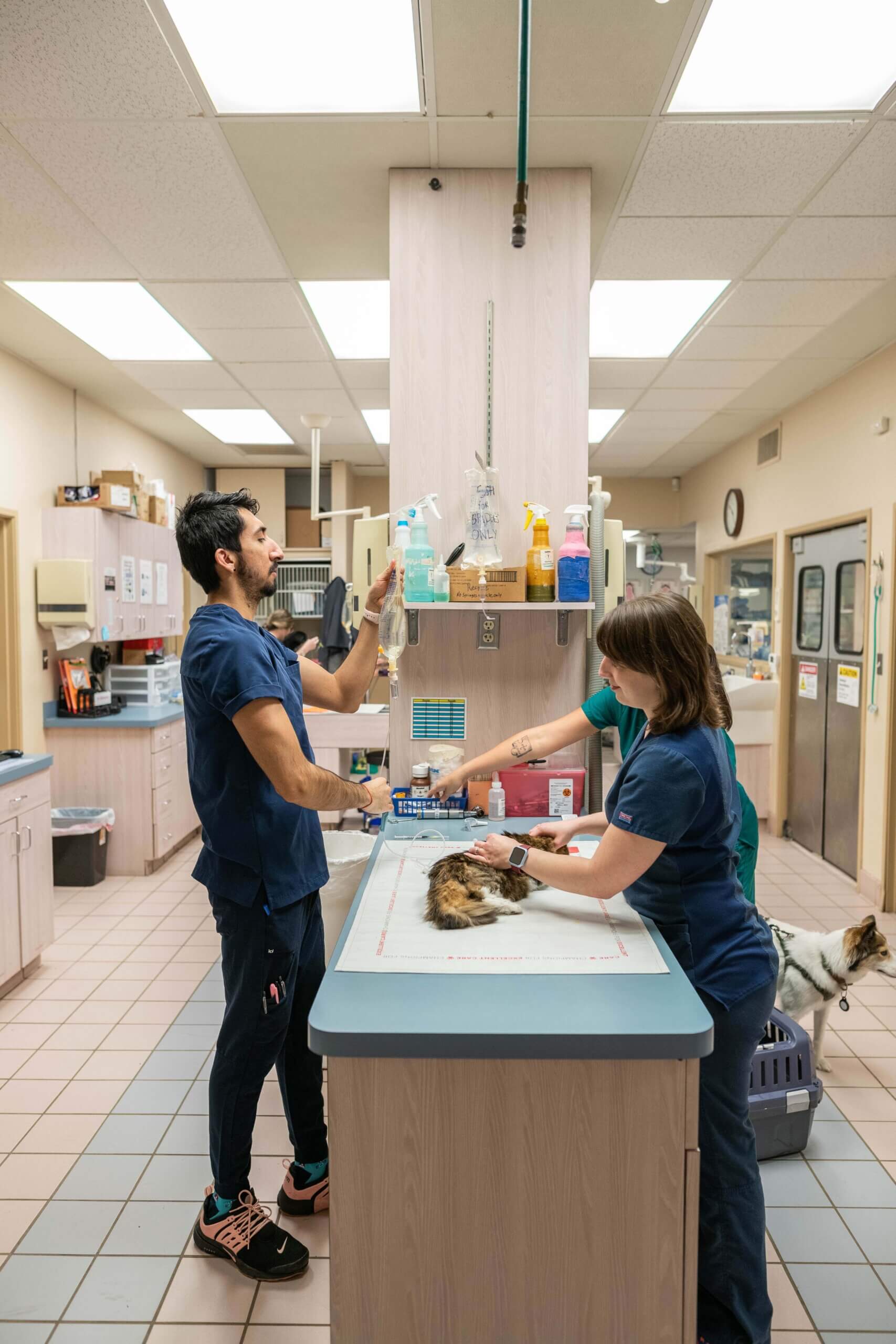 Our Skilled Team | Lakefield Babcock Hills